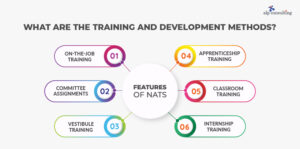 What is Training and Development in HRM? Definition & Importance