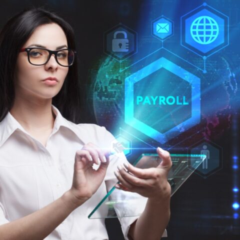 Best Payroll Software in India - Alp Consulting