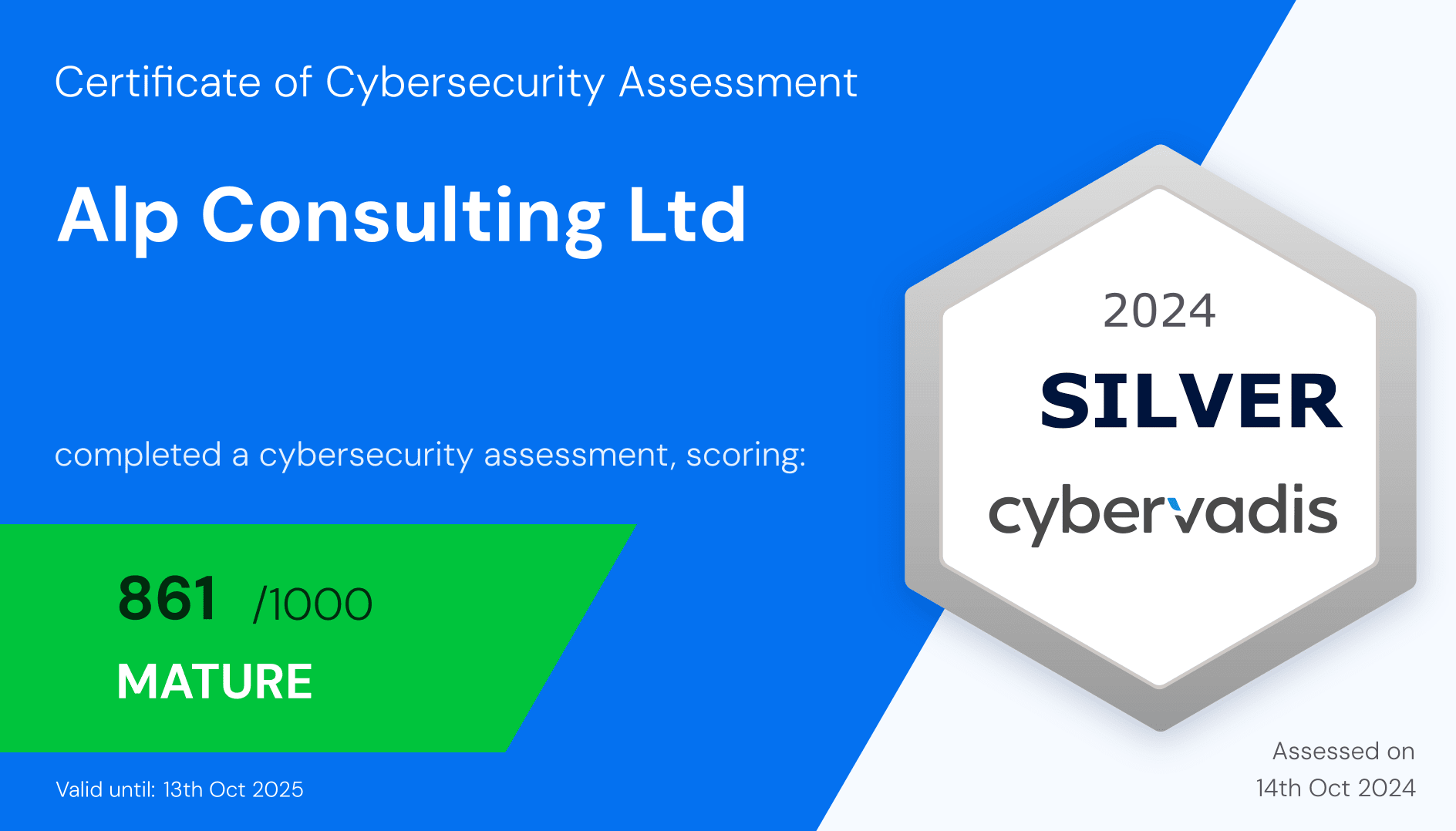 Alp Consulting Honored with Silver CyberVadis Award